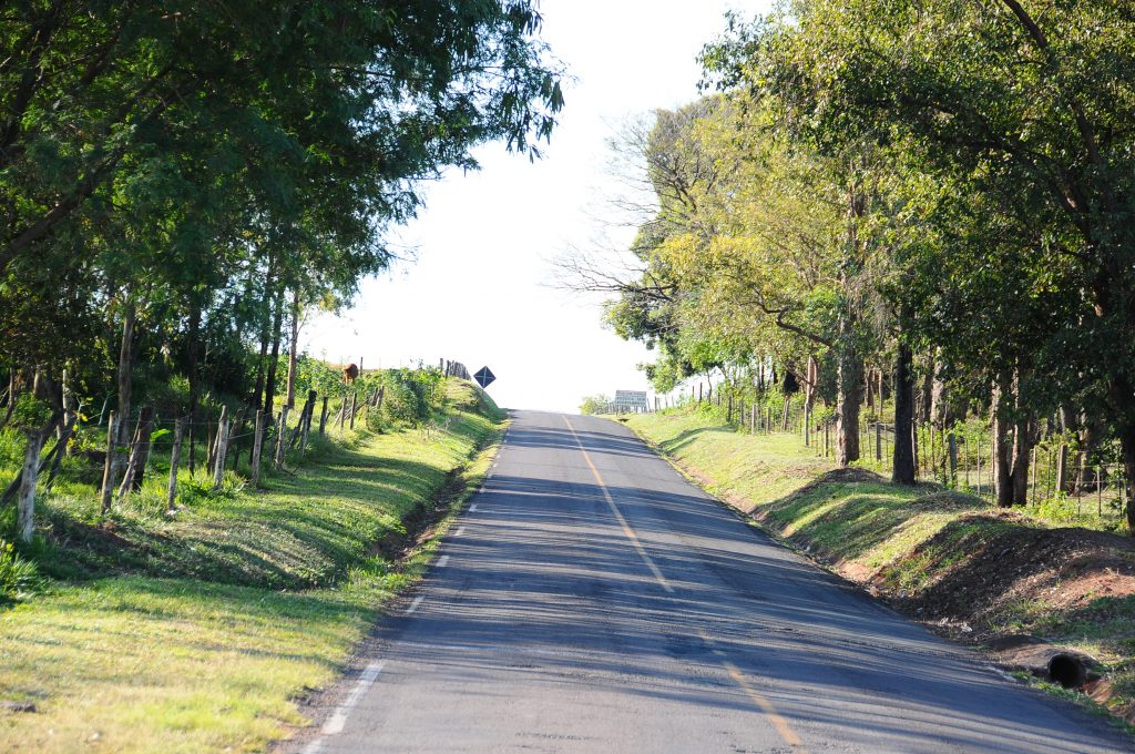 PR-534 - Deputado Cobra Repórter reforça pedido de melhorias urgentes ...